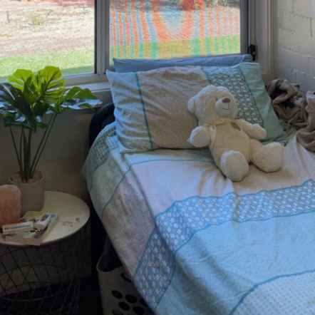 Charlie | Your Student Blog