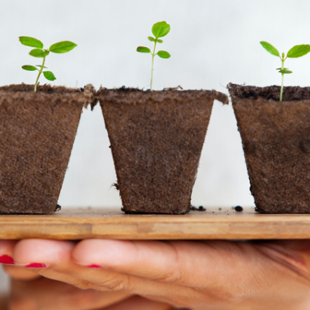 Charlie | Your Student Blog