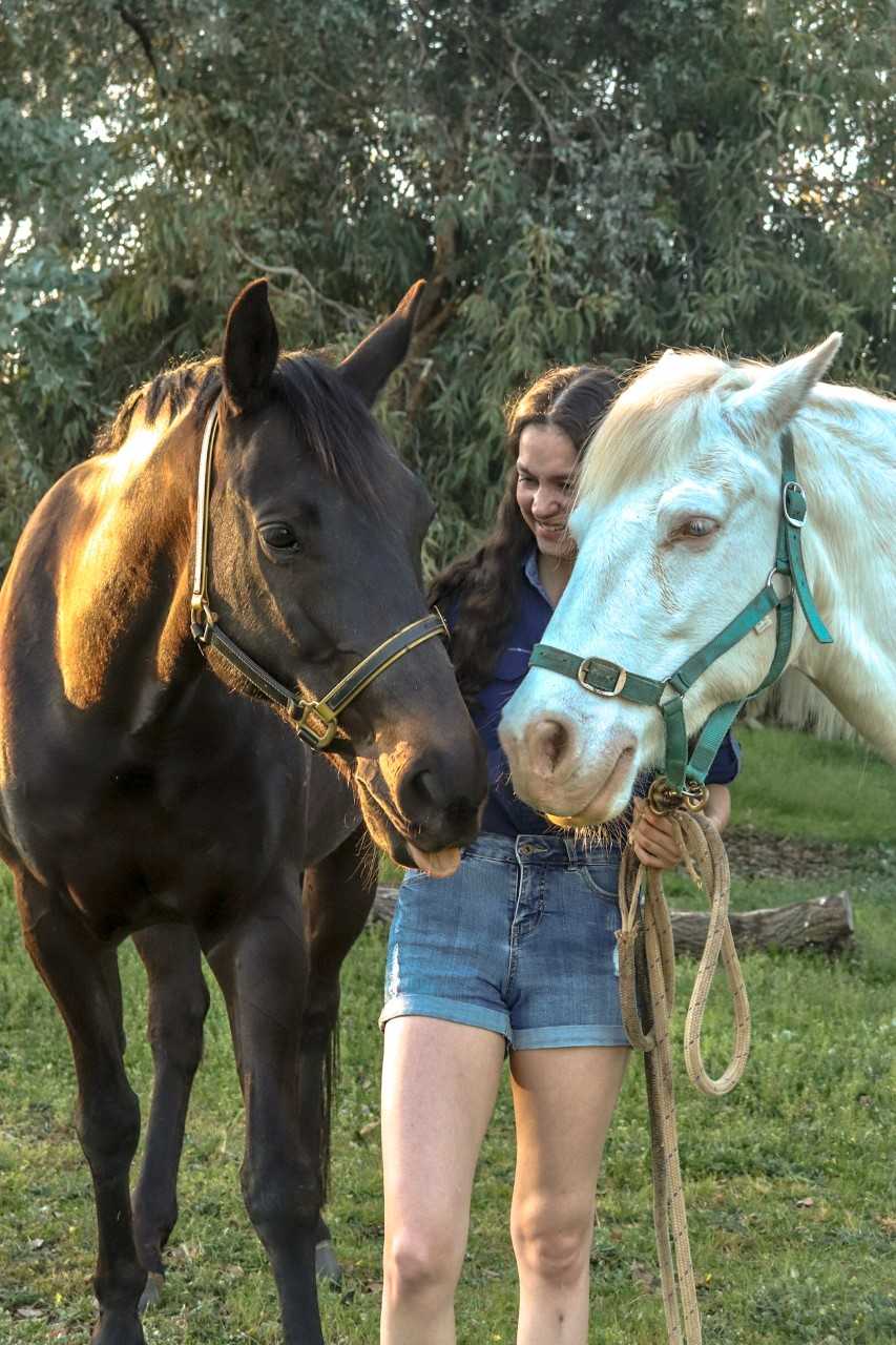 The horse-human bond: A different kind of love story – Charlie | Your ...