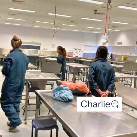 Charlie | Your Student Blog