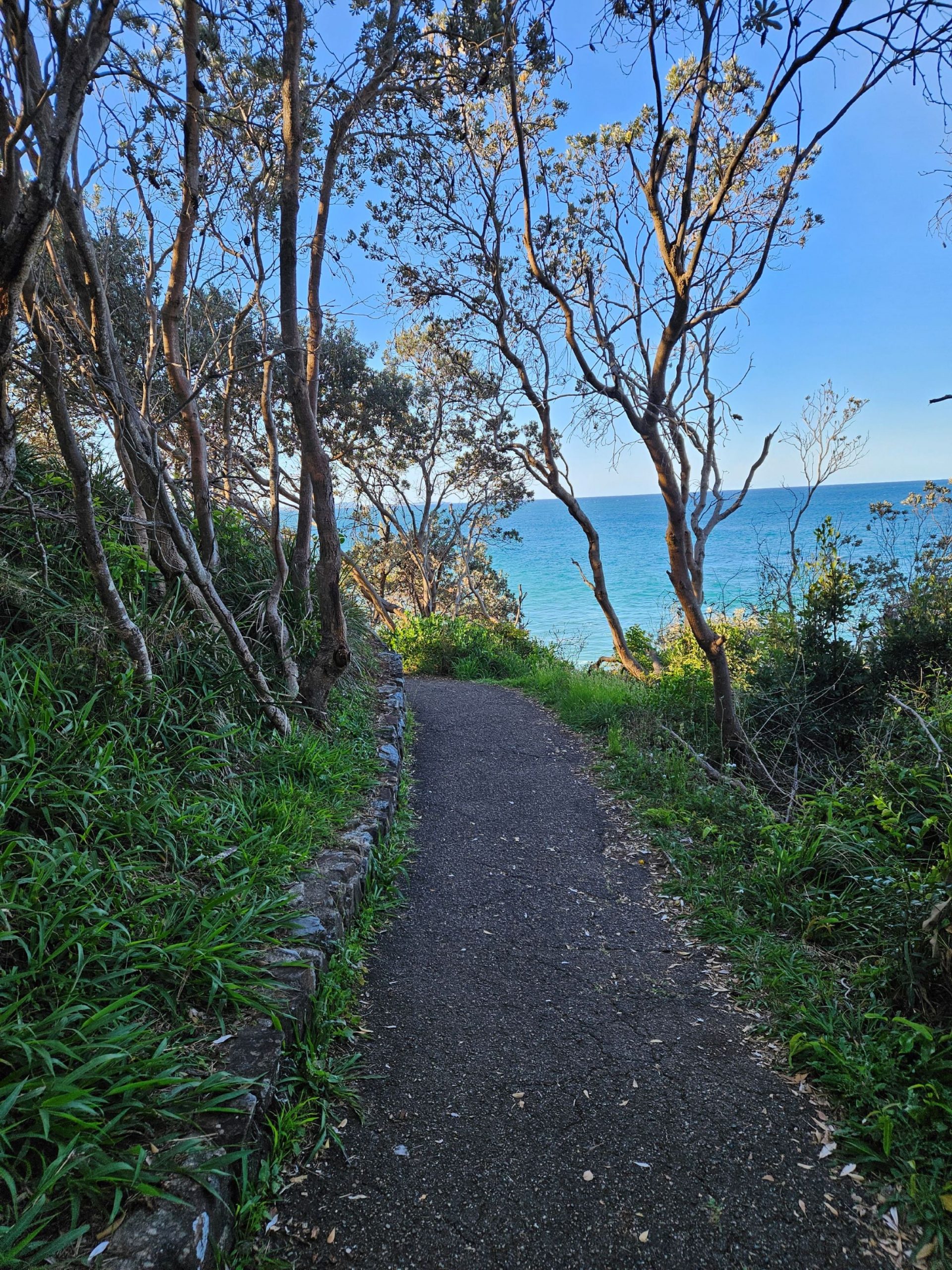 Small Habits That Make a Big Difference in Your Student Life – Charlie ...