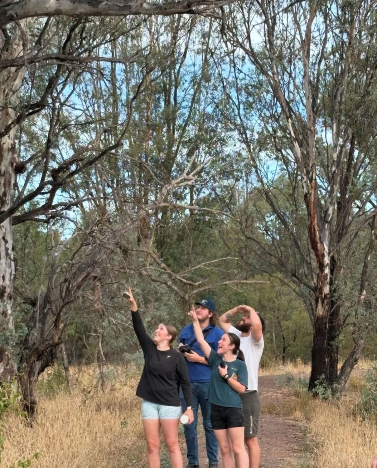 World Environment Day – Charlie | Your Student Blog