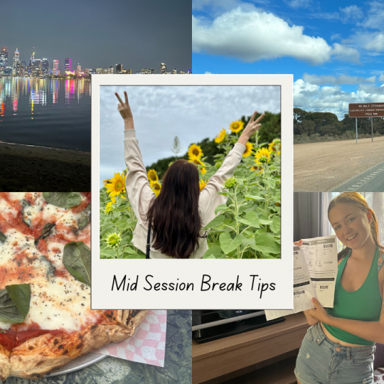 Charlie | Your Student Blog