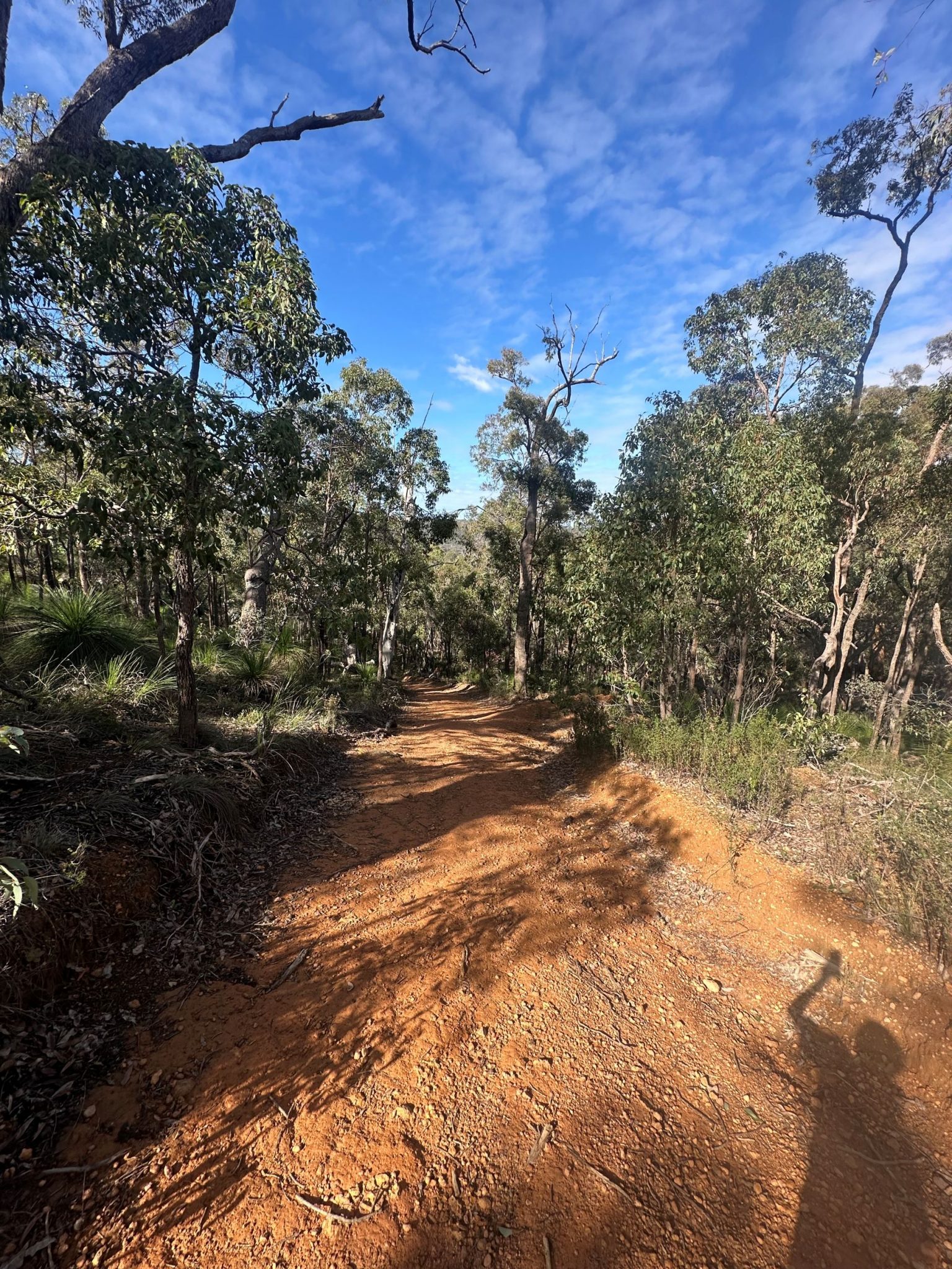 Beating the Winter Blues – Charlie | Your Student Blog