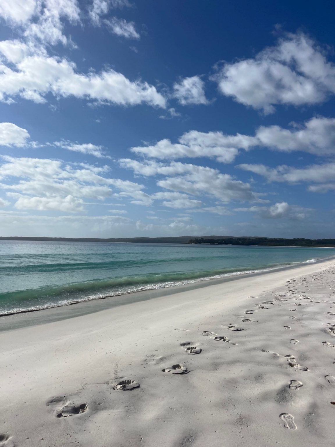 Exploring the South Coast – Charlie | Your Student Blog