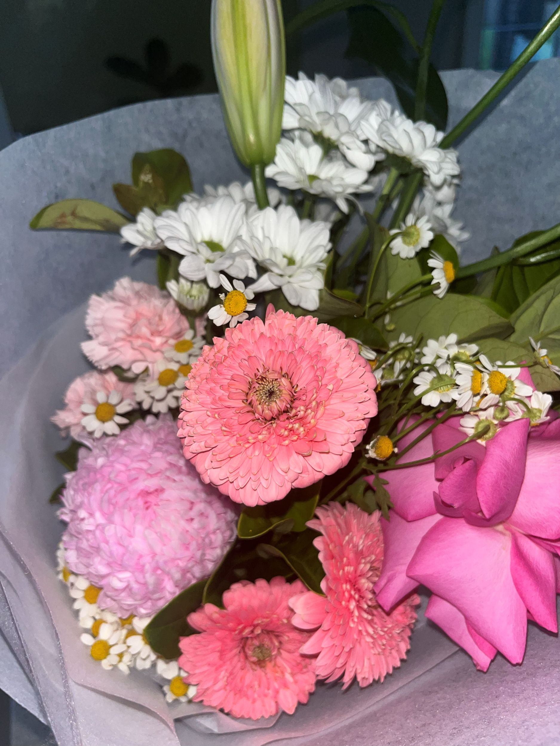 My Journey With an Autoimmune Disease – Charlie | Your Student Blog