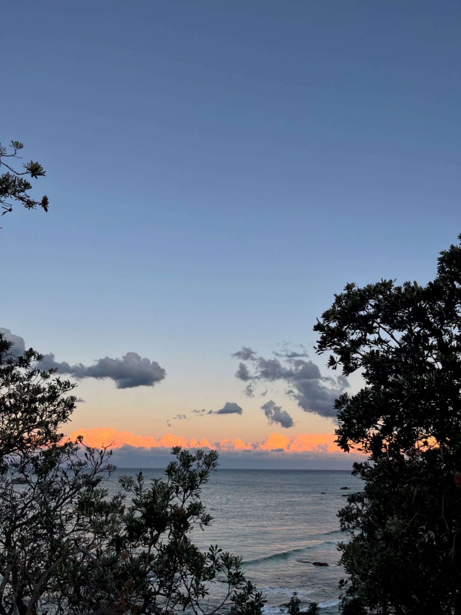 New to Port Macquarie? Let me Show You Around – Charlie | Your Student Blog